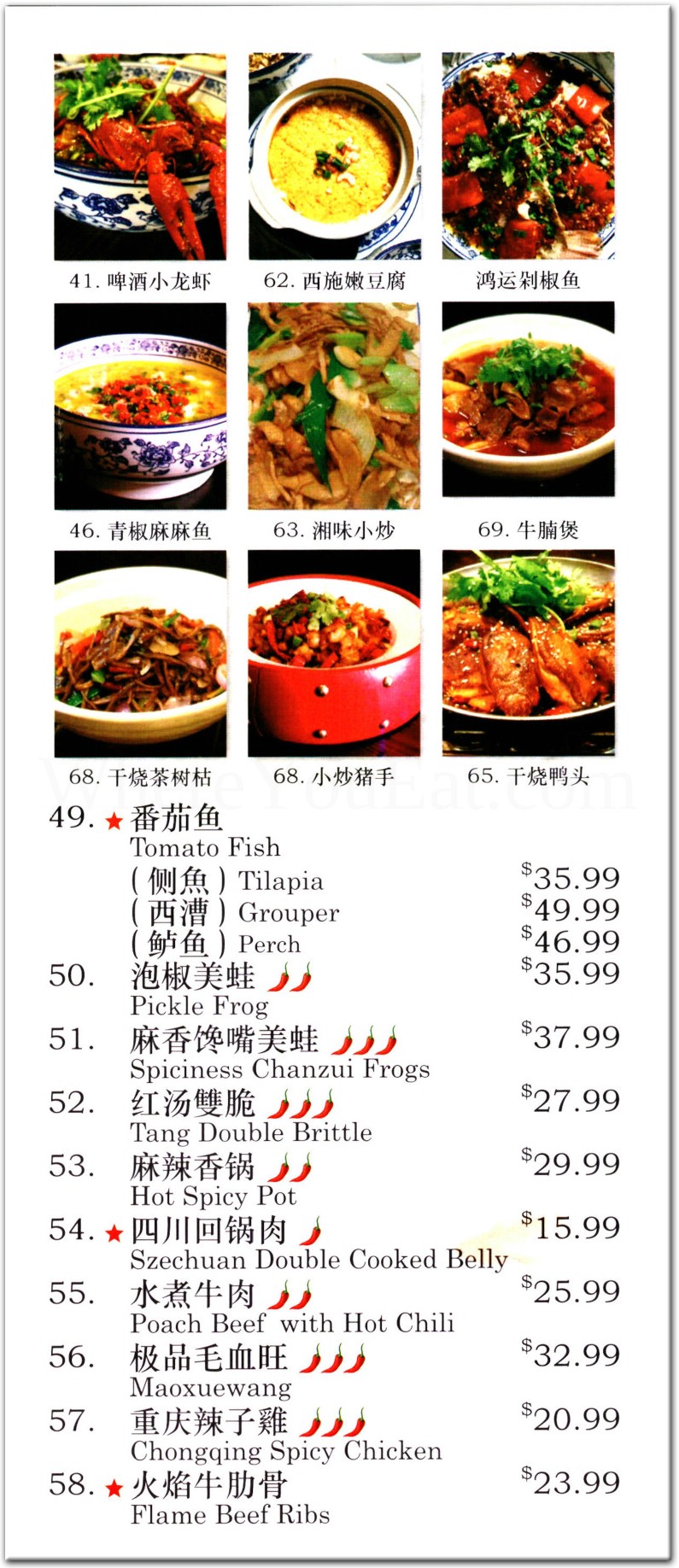 Chuan Tian Xia Restaurant in Brooklyn / Menus & Photos