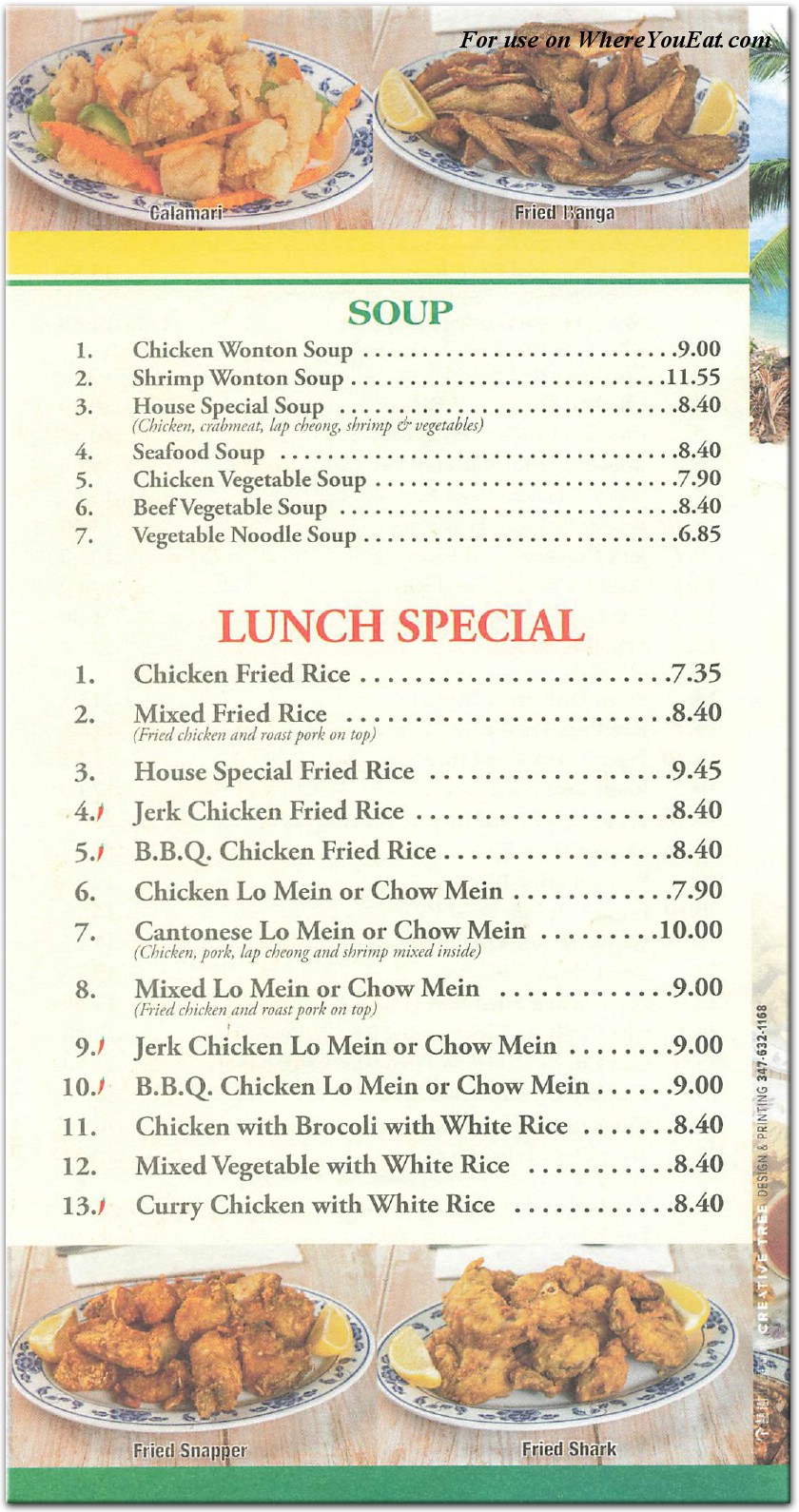 New Chinese Garden of Guyana Restaurant in Queens / Official Menus & Photos