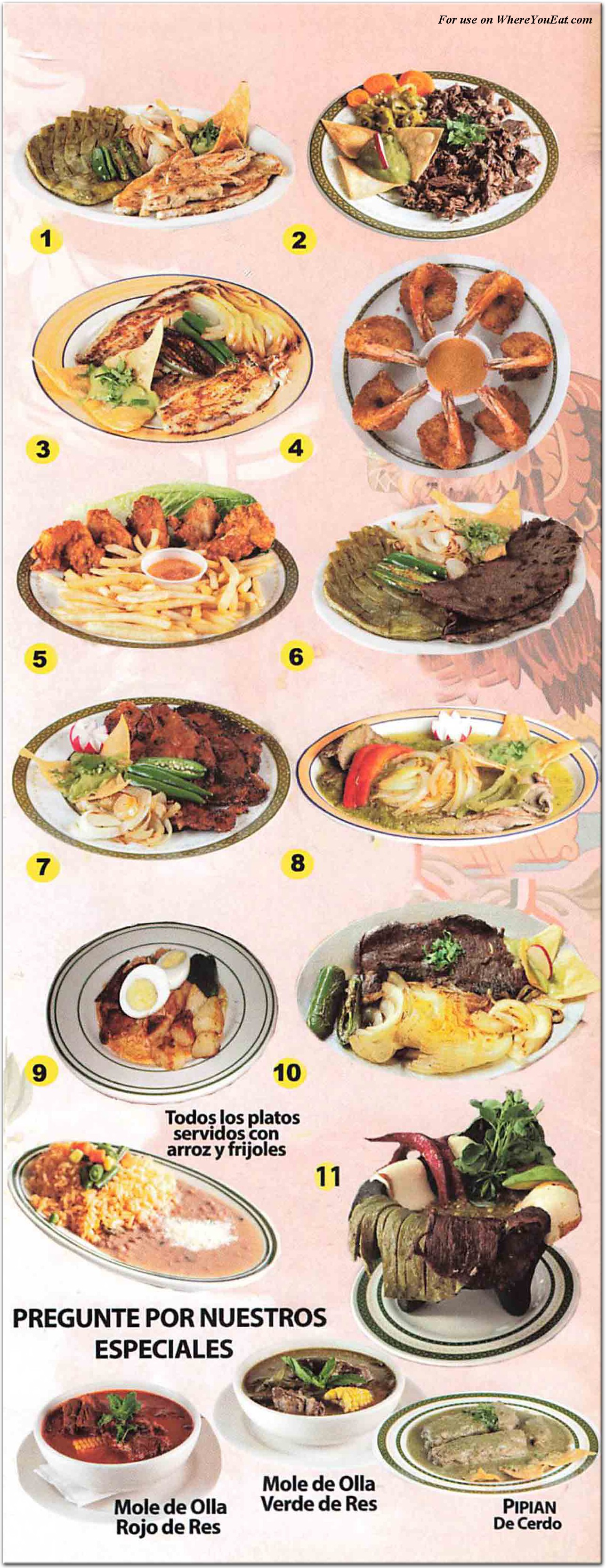 Nuevo Tacos Al Suadero Restaurant in Queens / Menus & Photos