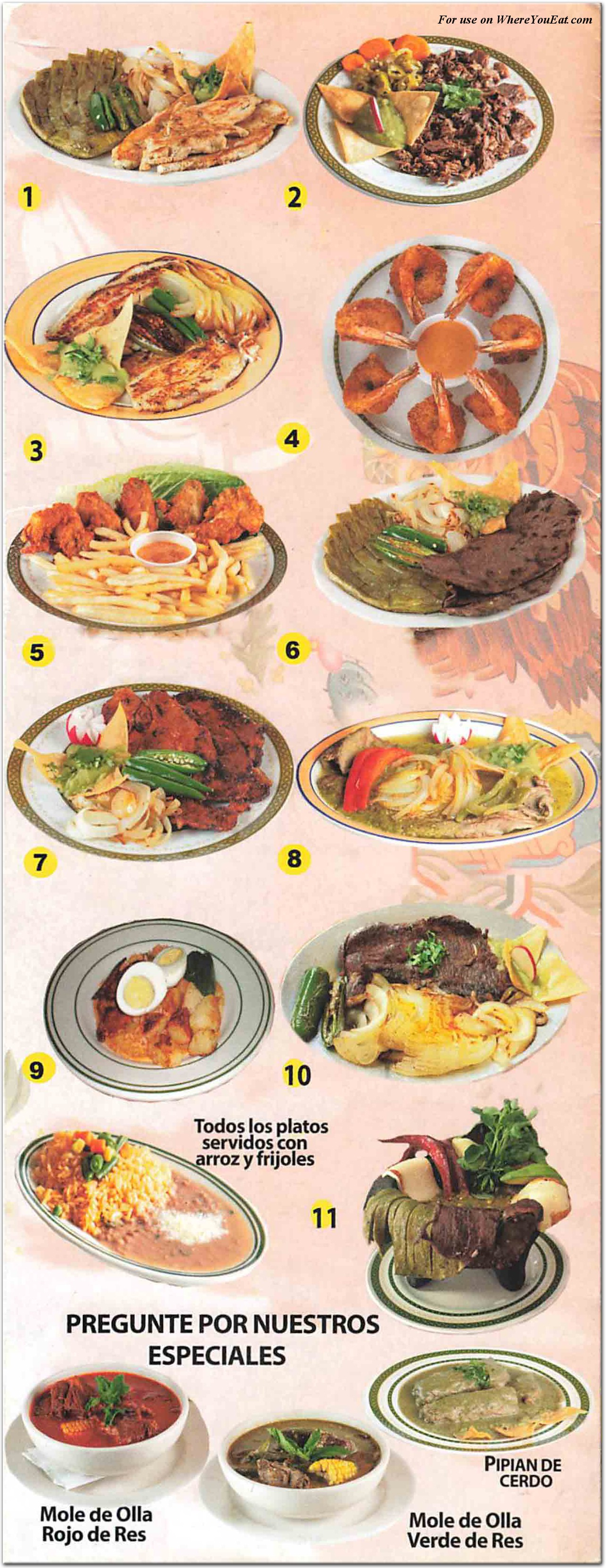 Nuevo Tacos Al Suadero Restaurant in Queens / Menus & Photos